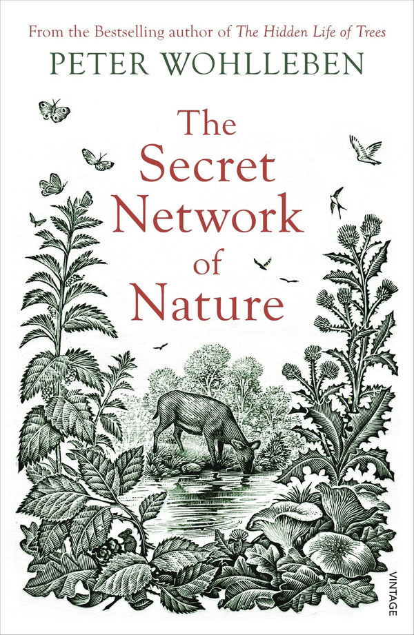 The Secret Network of Nature – Nature Bound Books