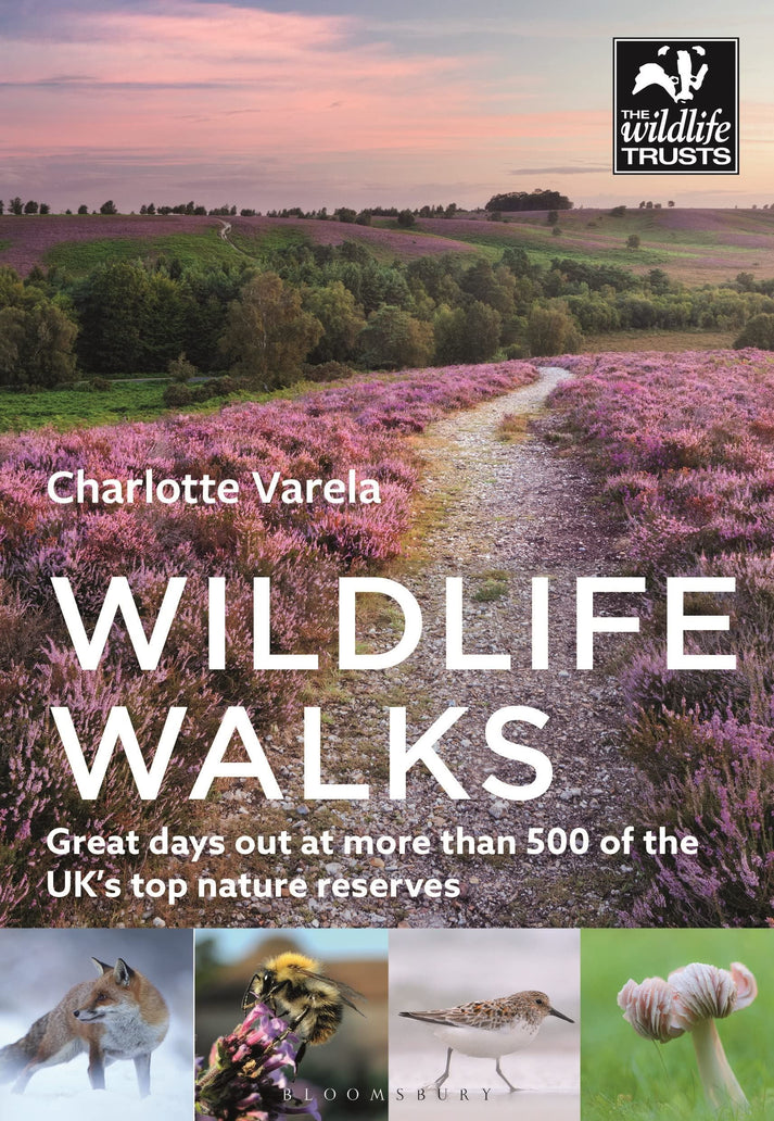 Wildlife Walks – Nature Bound Books